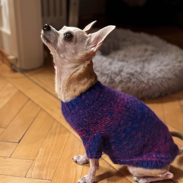 Dog Harness / Dog Collar / Cat Harness / Knitted Harness / Choke Free ...