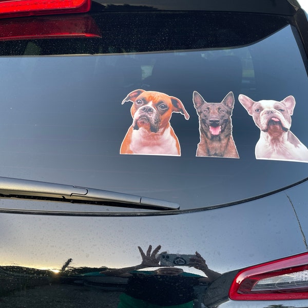 Pet Sticker Decal, Personalized Dog, Cat Any PET Sticker Decal, Custom ...