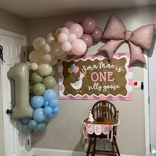 One Silly Goose Balloon Garland Balloon Arch Girls Silly Goose Birthday ...