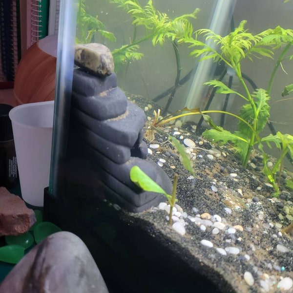 Aquarium Rock Corner Cave, Cichlid Cave, Kuhli Loach Dojo Loach ...