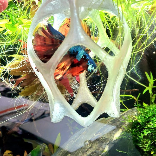 Betta Lair, Aquarium Swim Through Cave Decoration for Aquatic Pets ...