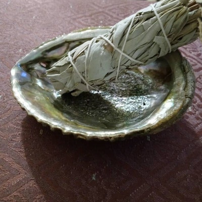 Abalone Shell Perfect for Smudge Sticks Alter Tool High Quality One ...