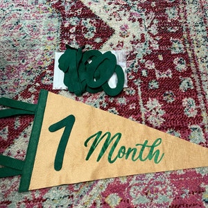 CUSTOM Mini Pennant Small Felt Pennant on a Stick - Etsy