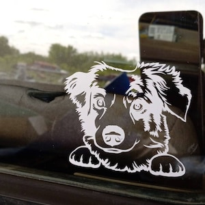 Cavapoo Decal Peeking Cavapoo Decal Cavapoo Sticker Dog | Etsy