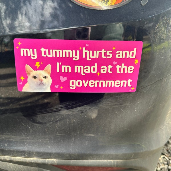 My Tummy Hurts and I’m Mad at the Government 7" Bumper Sticker or ...