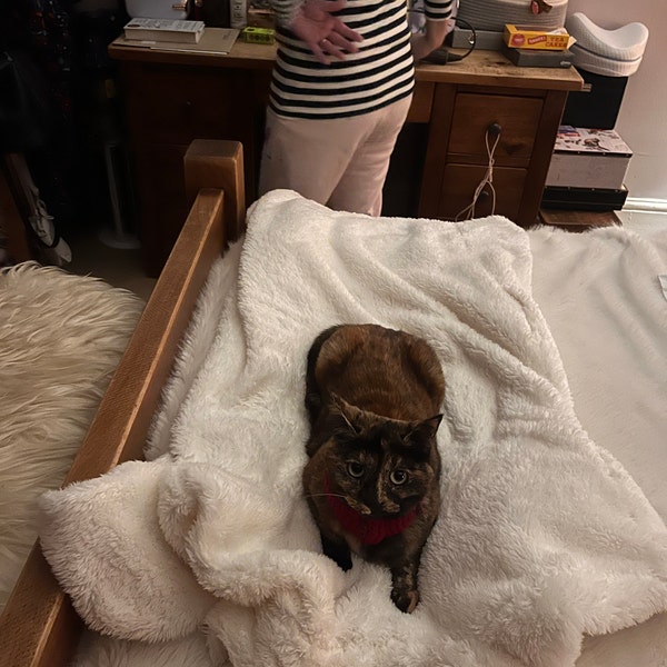 The Hand Knitted Toggle Cat Scarf - Etsy