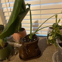 Secret Floating Shelf Safe Hidden Compartment Concealment Stealth ...