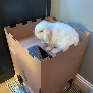 The Castle Corrugated Cardboard Castle for Bunny Rabbits & Cats - Etsy UK