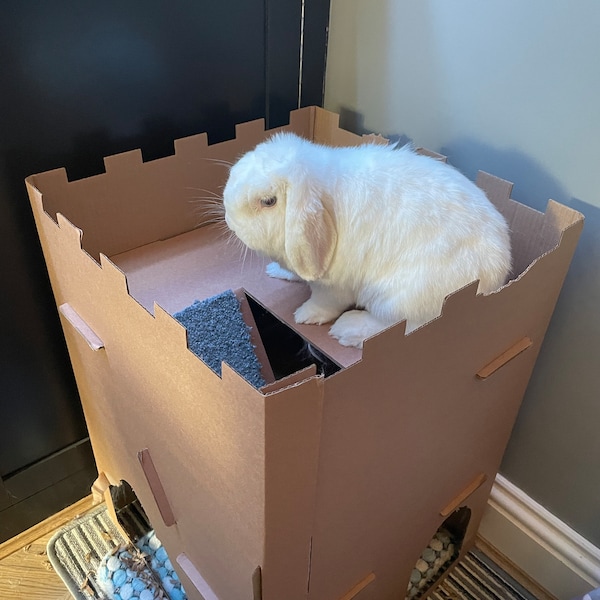 The Castle - Corrugated Cardboard Castle for Bunny Rabbits & Cats - Etsy UK