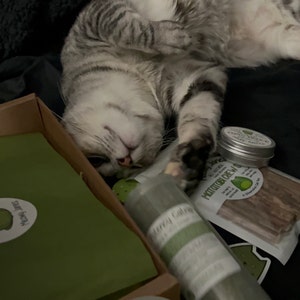 Catnip Alternative Variety Box Catnip, Valerian, Silvervine Powder ...