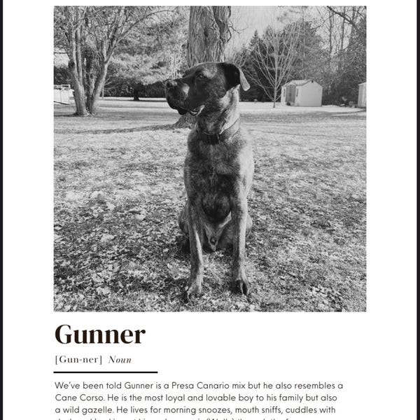 Custom Pet Poster, Personalized Dictionary Description, Pet Portrait ...