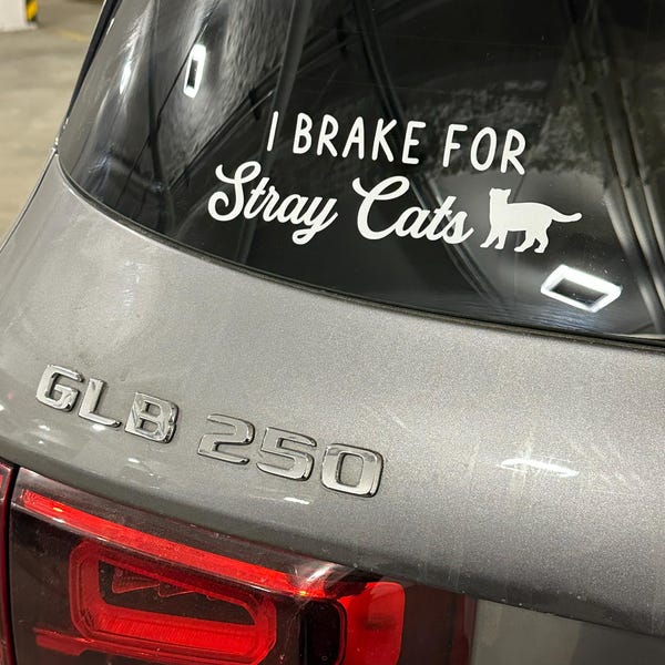 Wasted Paychecks Car Decal Art Bumper Sticker Decor Truck Window ...