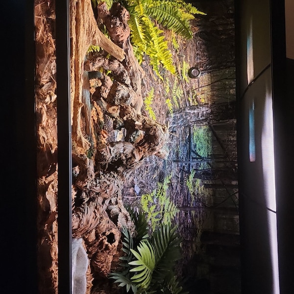 Custom Aquarium / Terrarium Background / Send Us Any Image or Use Our ...