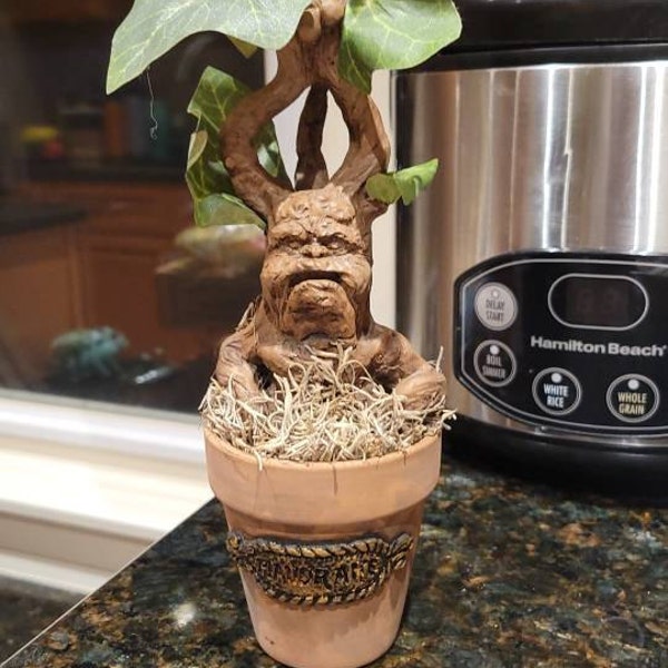 Magical Mandrake - Etsy