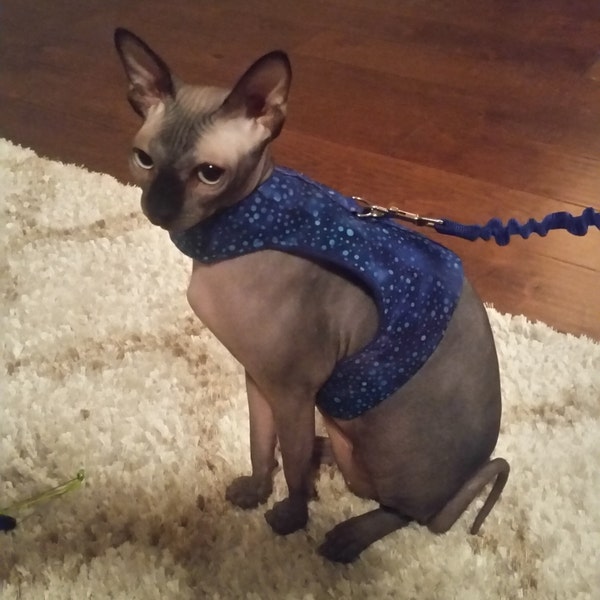 Cozy Cat Harness: Digital Sewing Pattern - Etsy