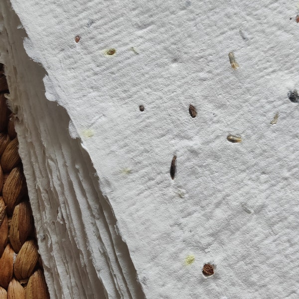 Papermaking Kit, Handmade Paper Kit, Recycled Paper Kit, Diy Paper, Diy ...