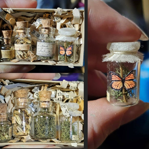 L. Delaney's All Dolled up DIY Book- Signed Copy (craft, Paper Dolls ...