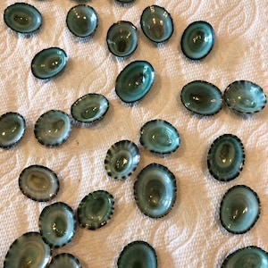 25 to 500 Limpet Shells Seashells Aqua Blue Teal Green Limpet Small ...