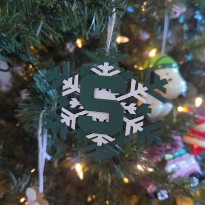 Pair of MSU Spartan Officially Licensed Etched Glasses 16 Oz Mason Jar ...