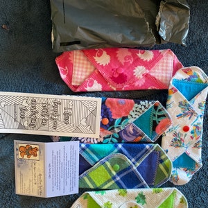 Set of 5 Mamabear Ladywear Quick-dry Cloth Menstrual, Incontinence Pads ...