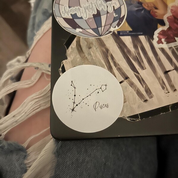 Pisces Zodiac Sign Sticker, Astrology Decal for Laptop, Water Bottle ...