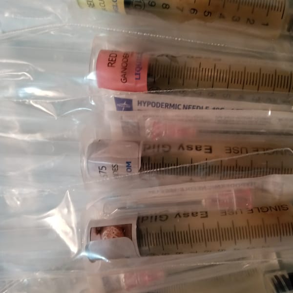 Elm Oyster Mushroom Liquid Culture - Etsy