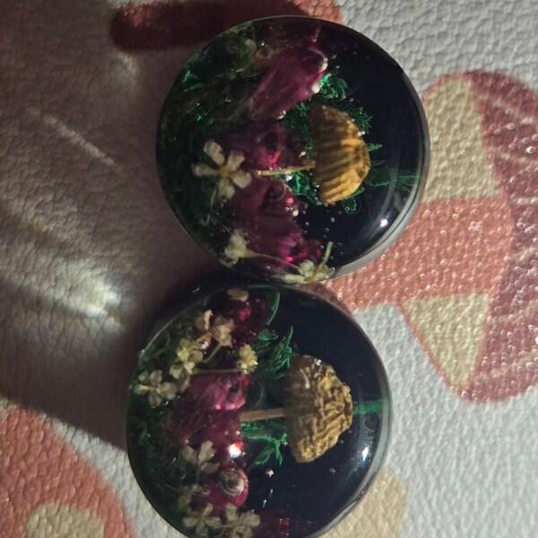 Real Moss Transparent Mushroom Plugs, Nature Tunnels, Real Plant ...