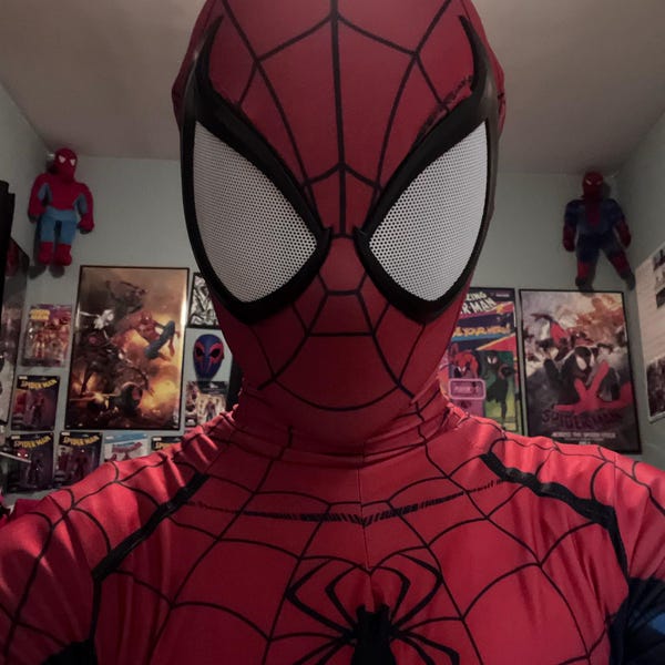 Faceshell Ben Reilly - Etsy