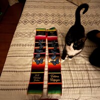 Cheers 2025 New Years Eve Party Crown 2025 NYE Glitter Tiara New Years ...