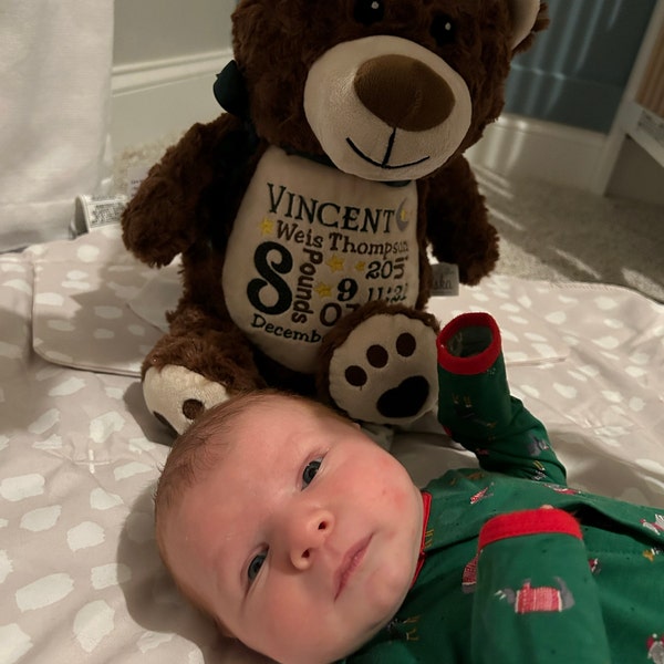 Personalized Stuffed Animal Teddy Bear Embroidered Birth Announcement ...