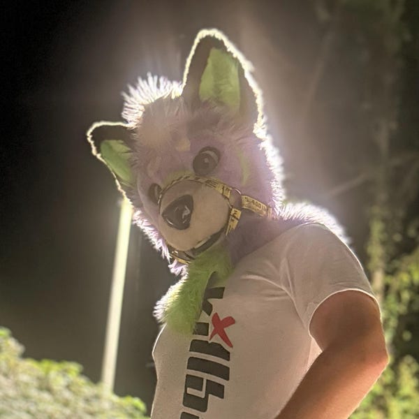 PDF Pattern Download Bluey Style Cosplay Cartoon Dog Fursuit Tail ...