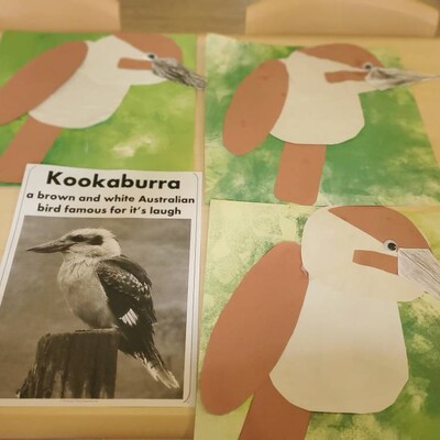 Animal Research Project With Habitat Diorama Pop up Report - Etsy