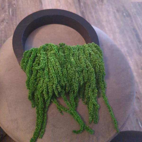 Wooden Wheel With Stabilized Amaranth, Wall Decoration, Prepared ...