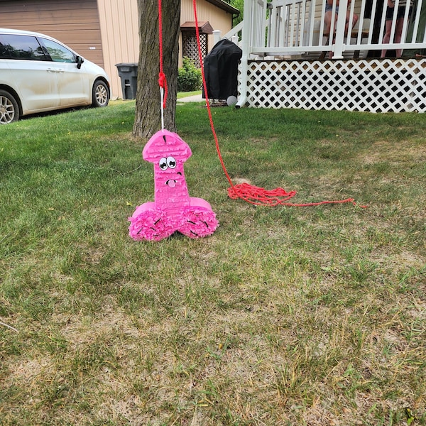 New! Daisy Number Three Pinata for Third Birthday Groovy Theme Party ...