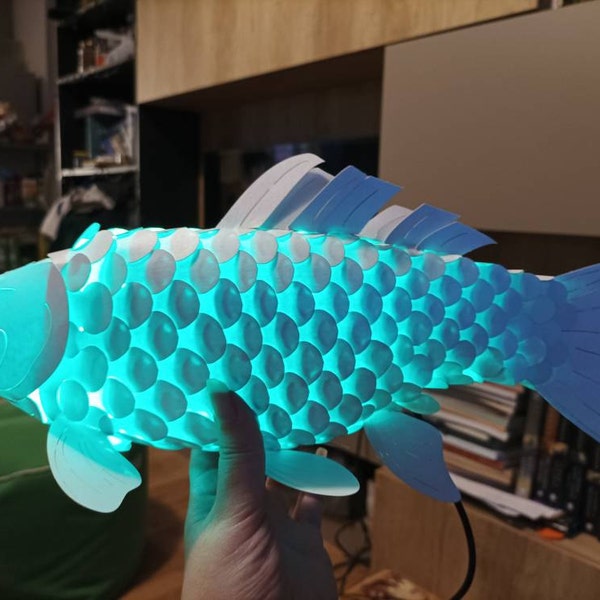 3-pack Paper Koi Lantern: DIY Fish Lamp Kit - Etsy