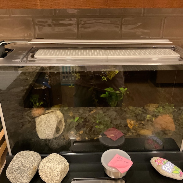 Flow Baffle Attachment Compatible With Fluval Aquaclear Series HOB ...