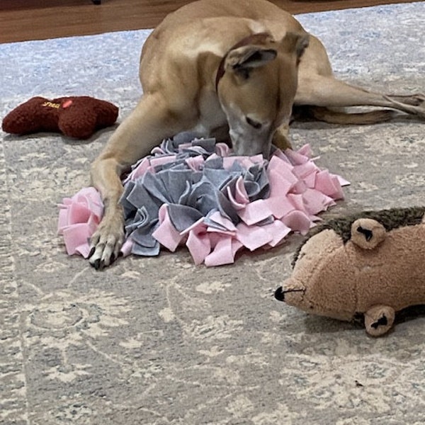 Nose-n-nibble Premium Snuffle Mat: Food Foraging Fun for Dogs, Cats ...