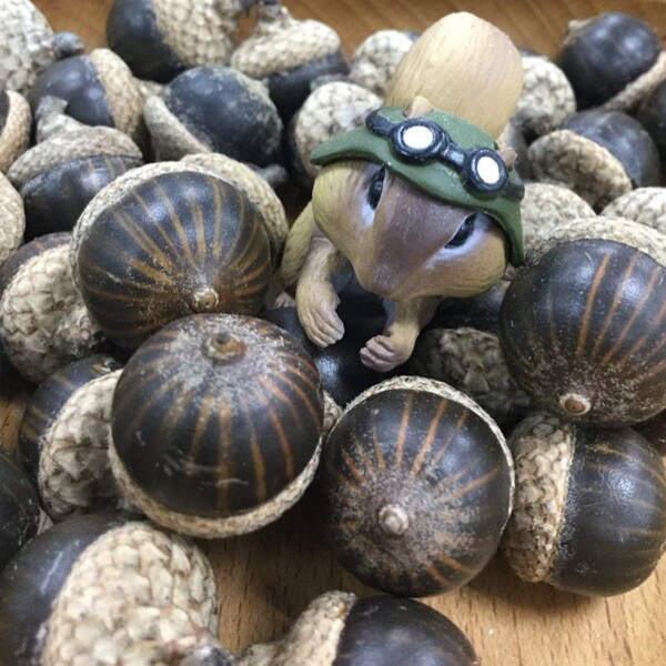 5 EXTRA LARGE Size, Extra FANCY Unfinished, Long Fringed Large Bur Oak ...