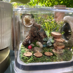 Mini Beach Scene in Clam Shell Mini Ocean Scene Sea Turtle - Etsy