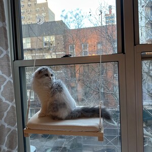 Cat Window Seat Made From Natural Ecological Recycled Wood - Etsy