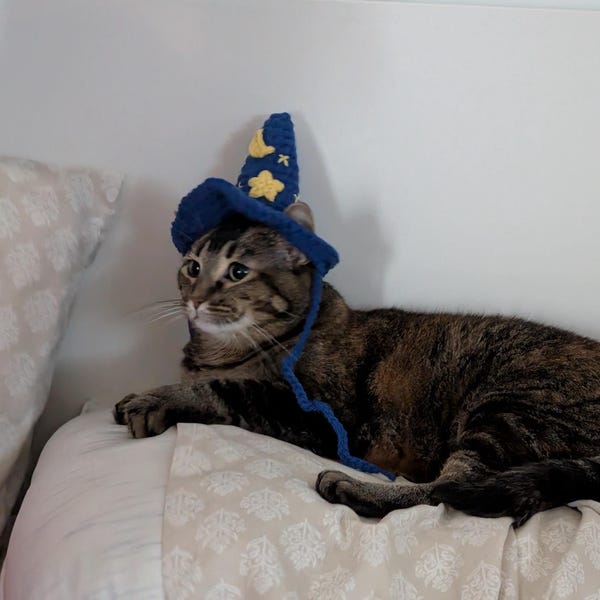 Cat Witch Hat, Cat Wizard Hat, Hats for Cats, Halloween Costume for ...
