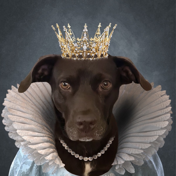Custom Pet Portraits | Queen Pet Portrait | Female Animal Portrait ...