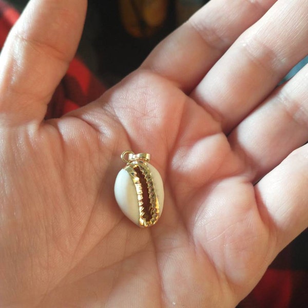 24k Gold Dipped Real Natural Cowrie Shell, Natural Gold Dipped Shell ...