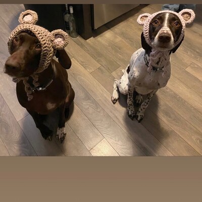 Pink Larva Crochet Pattern PDF - Etsy