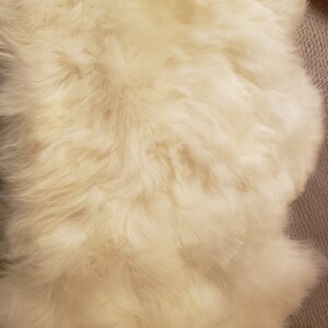 Giant Genuine Sheepskin Rug Red Color Soft Warm Wool Natural | Etsy