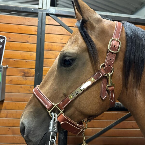 Handmade Leather Horse Halter – Russet Brown With Brass Name Plate - Etsy