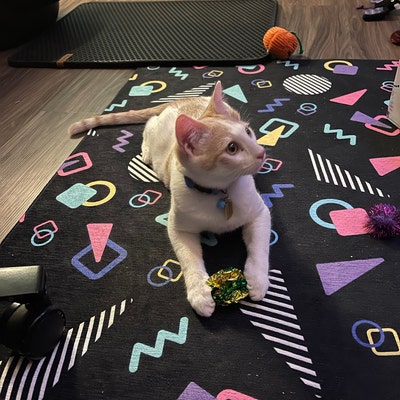 Retro Arcade Carpet, Indoor Outdoor, Memphis Design Area Rug, 80s 90s ...