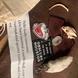 Bone, Skulls, and Oddities Mystery Bag - Etsy