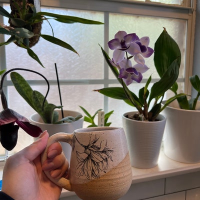 Round Bottom Mugs Handmade Ceramic Kitchenware Color - Etsy