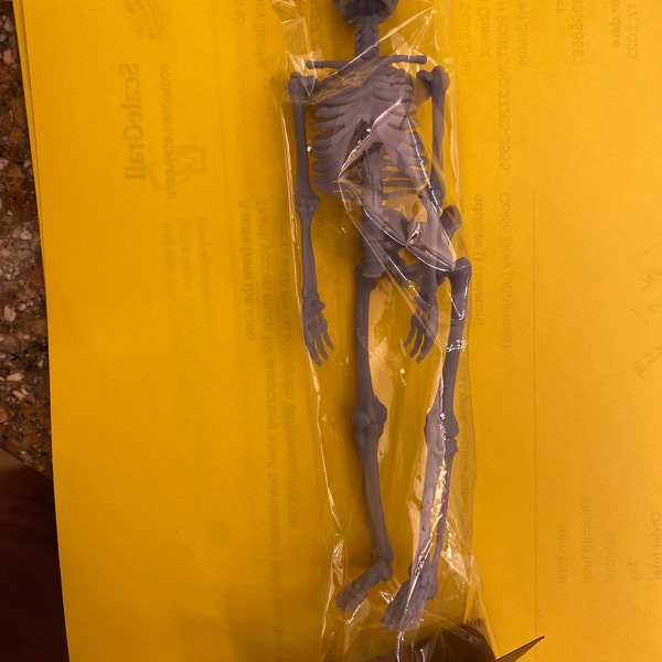 Human Skeleton Full - 1:12 Scale Miniature Size for Horror Diorama ...